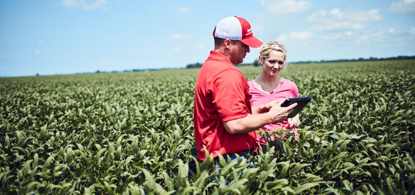 Agronomist Jobs